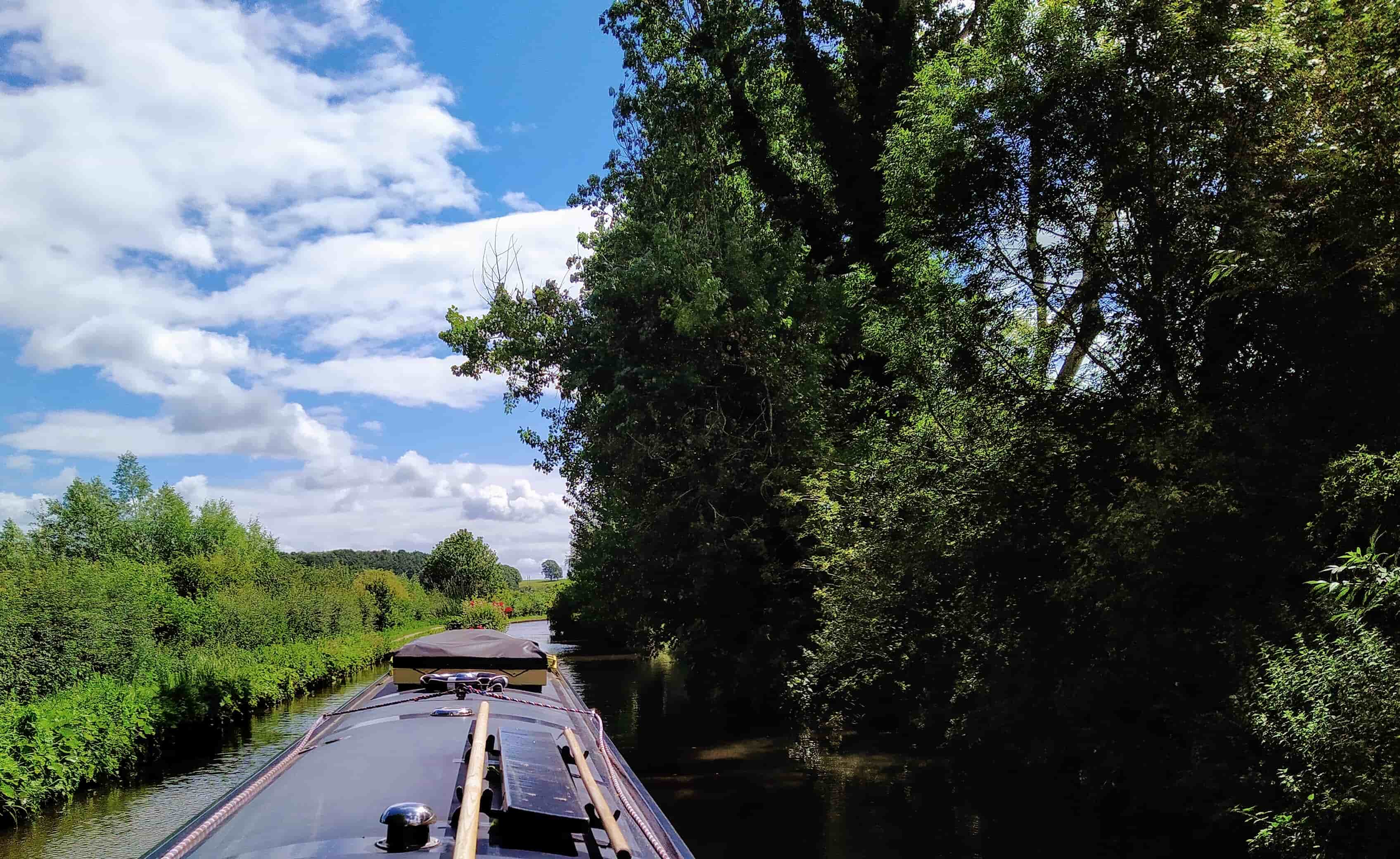 Tixall Wide – Artful Dodger