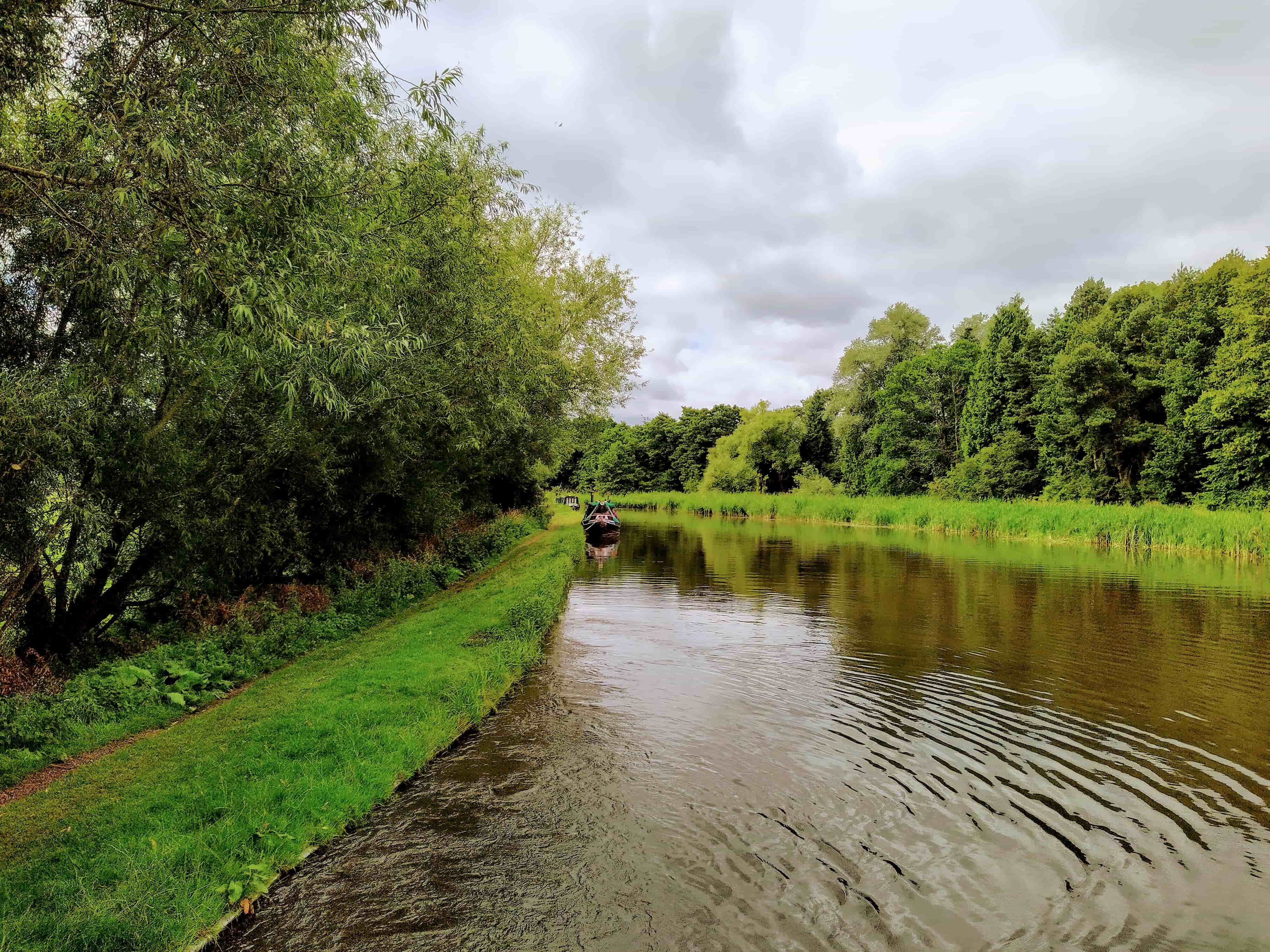 Tixall Wide – Artful Dodger